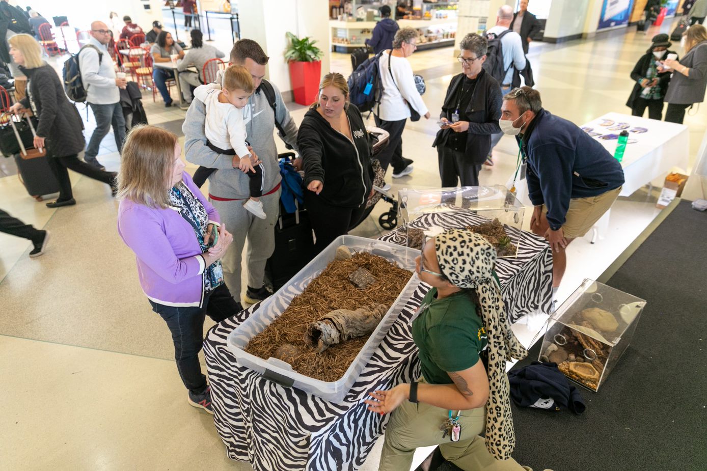 PHL is Like a Zoo! | PHL.org